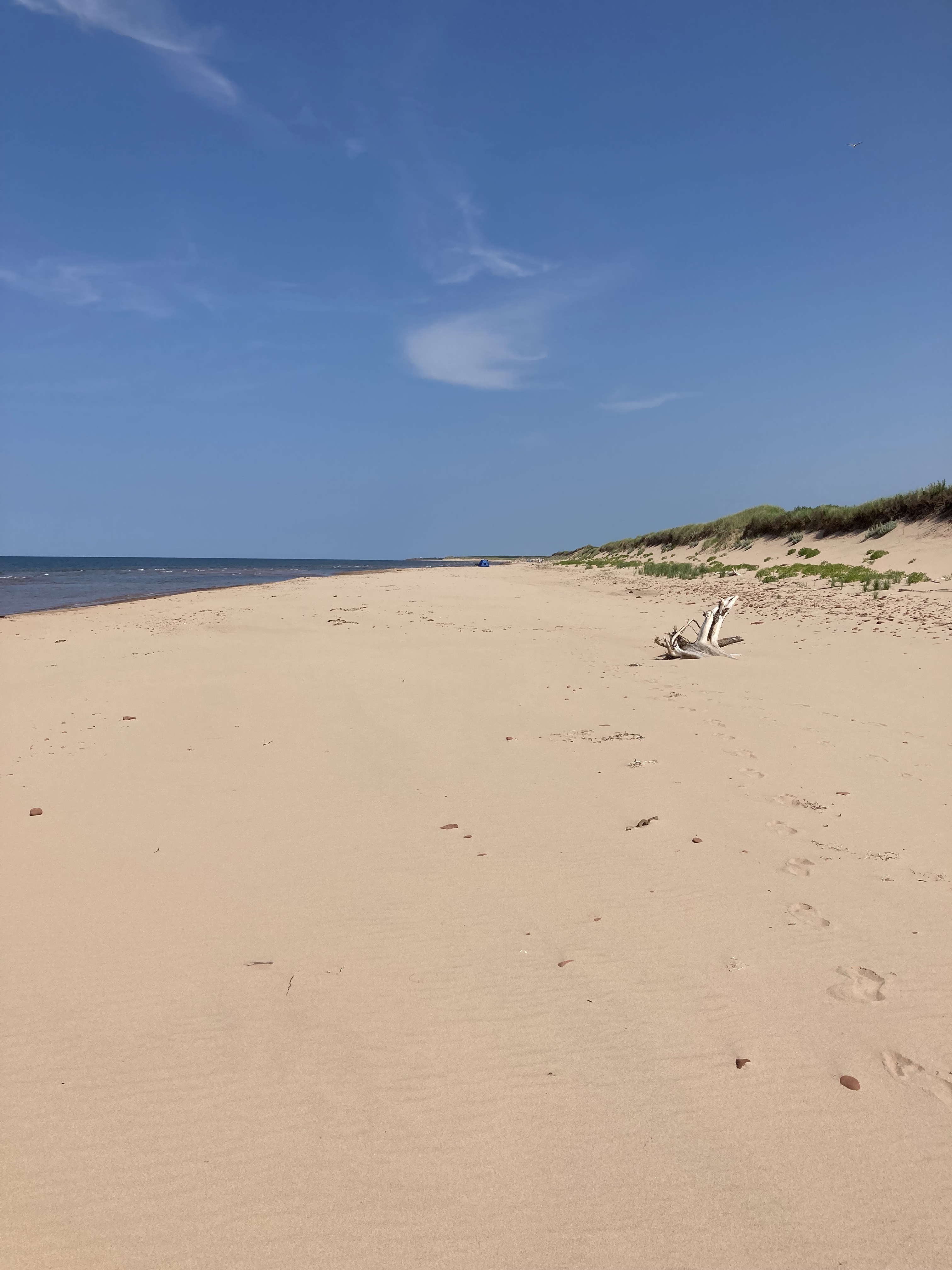Greenwich National Park, Prince Edward Island – Maritime beach blogger